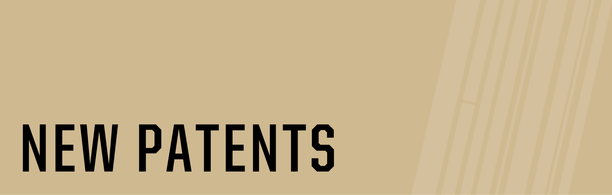 March Edition: Newly Issued Patents - Stories