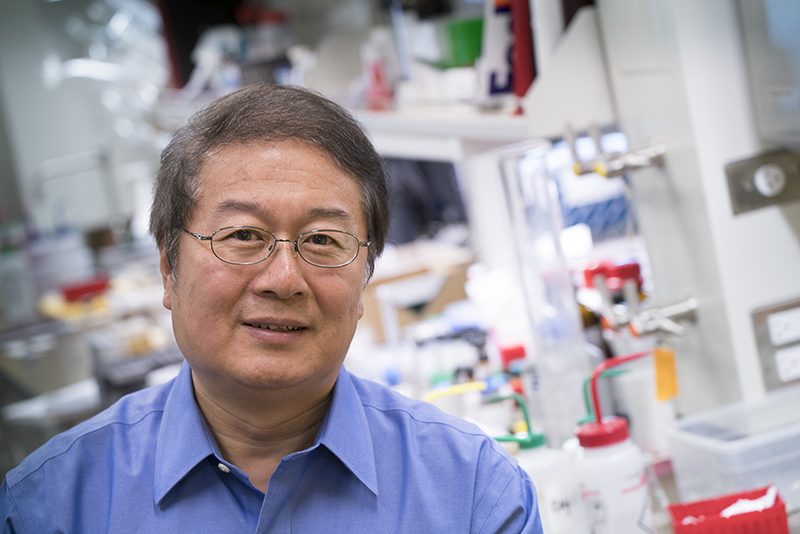 Novel Small Molecule For Cancer Immunotherapy Treatment Stories