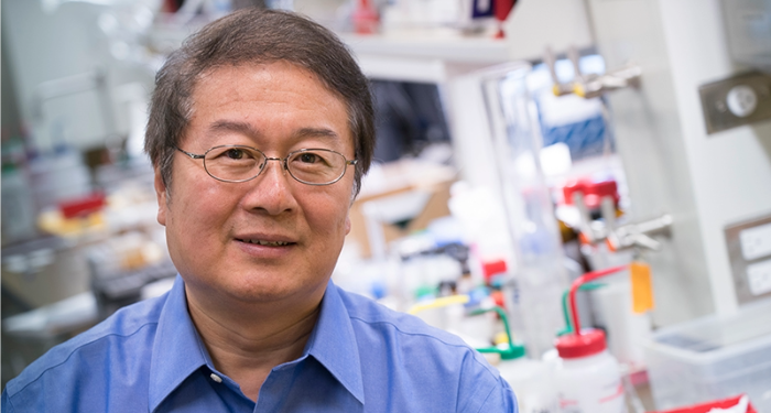 Promising research from Purdue offers innovation, hope for cancer ...