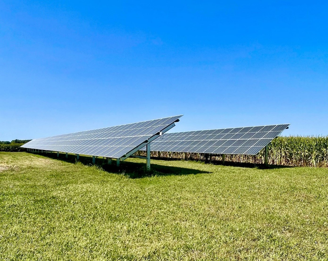 Emergent Solar Energy powers Indiana pork production with USDA REAP ...