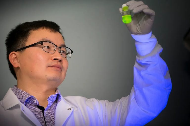 Anu set to exhibit smart aeroponic garden appliance at CES 2024 - Stories